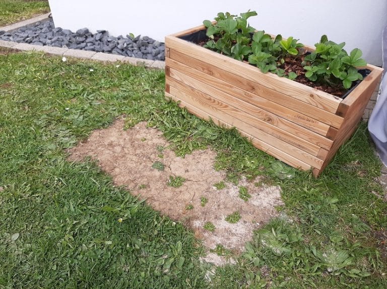 Rasenerde Ratgeber & Produktvorstellungen 2025 » Gartenzeile.de